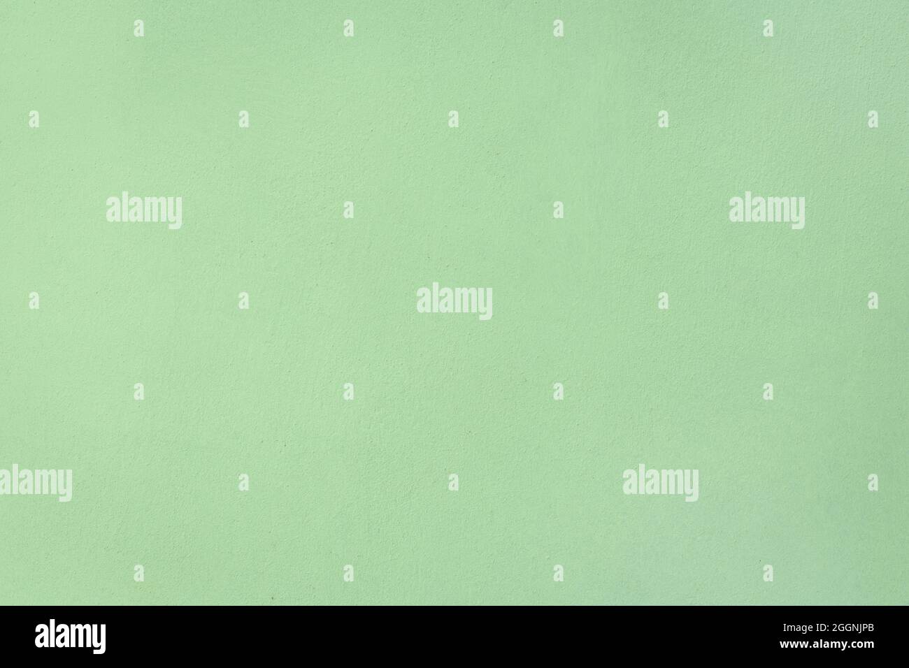 Light green or light clean green background, wall surface for text and ...