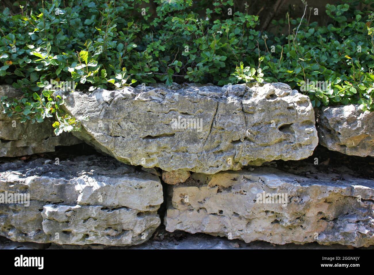 White limestone rocks and green plants in the bright summer sun Stock ...