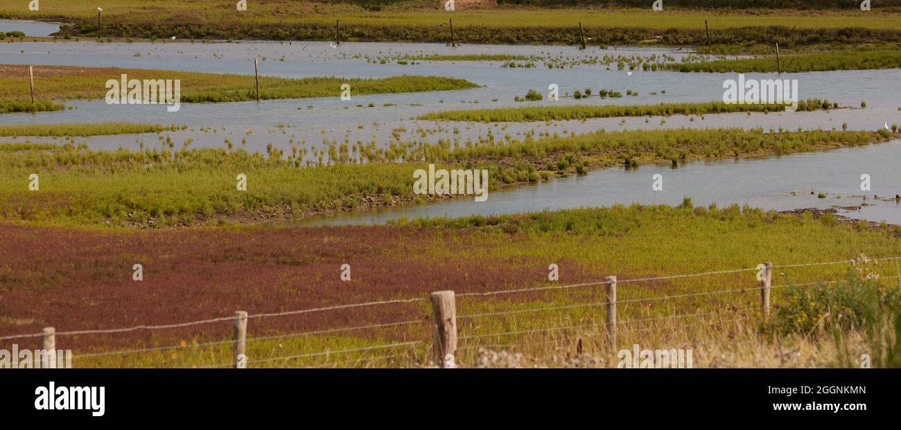 Intertidal landforms hi-res stock photography and images - Alamy