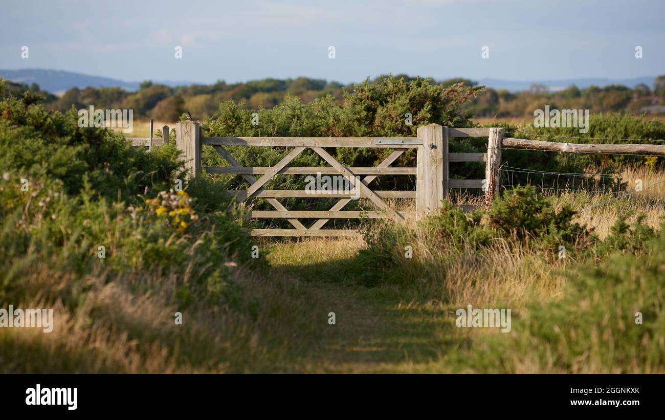 Separate forms hi-res stock photography and images - Alamy