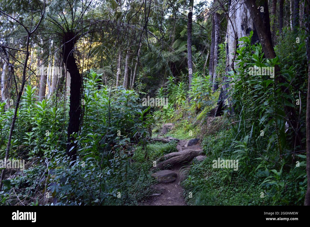 Ruined castle walking trail hi-res stock photography and images - Alamy