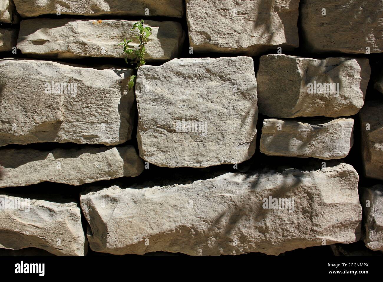 White limestone wall basking in the bright summer sun Stock Photo - Alamy