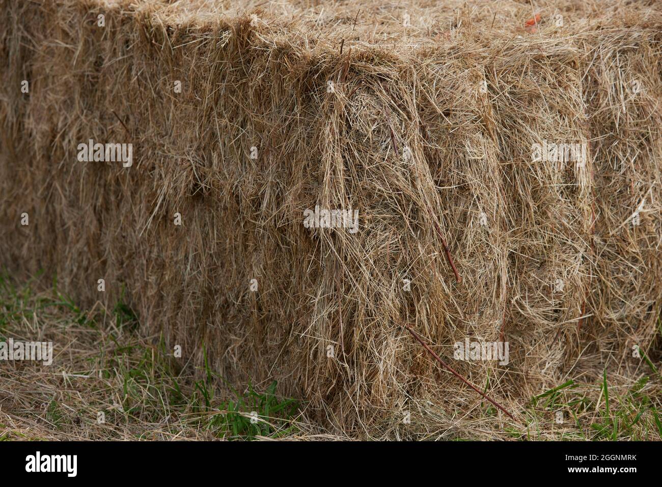 Straw bales seen in fields Stock Photo - Alamy