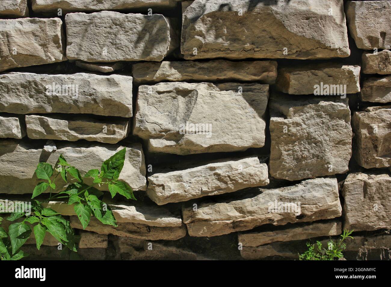 White limestone wall basking in the bright summer sun Stock Photo - Alamy