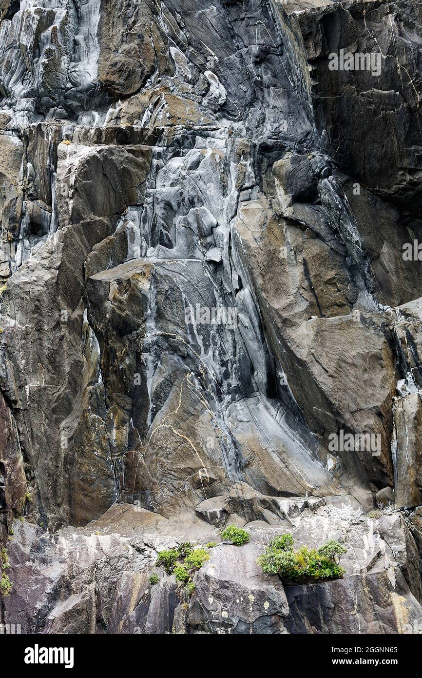rock cliff, varied colors, small green vegetation, hard, stark, solid ...