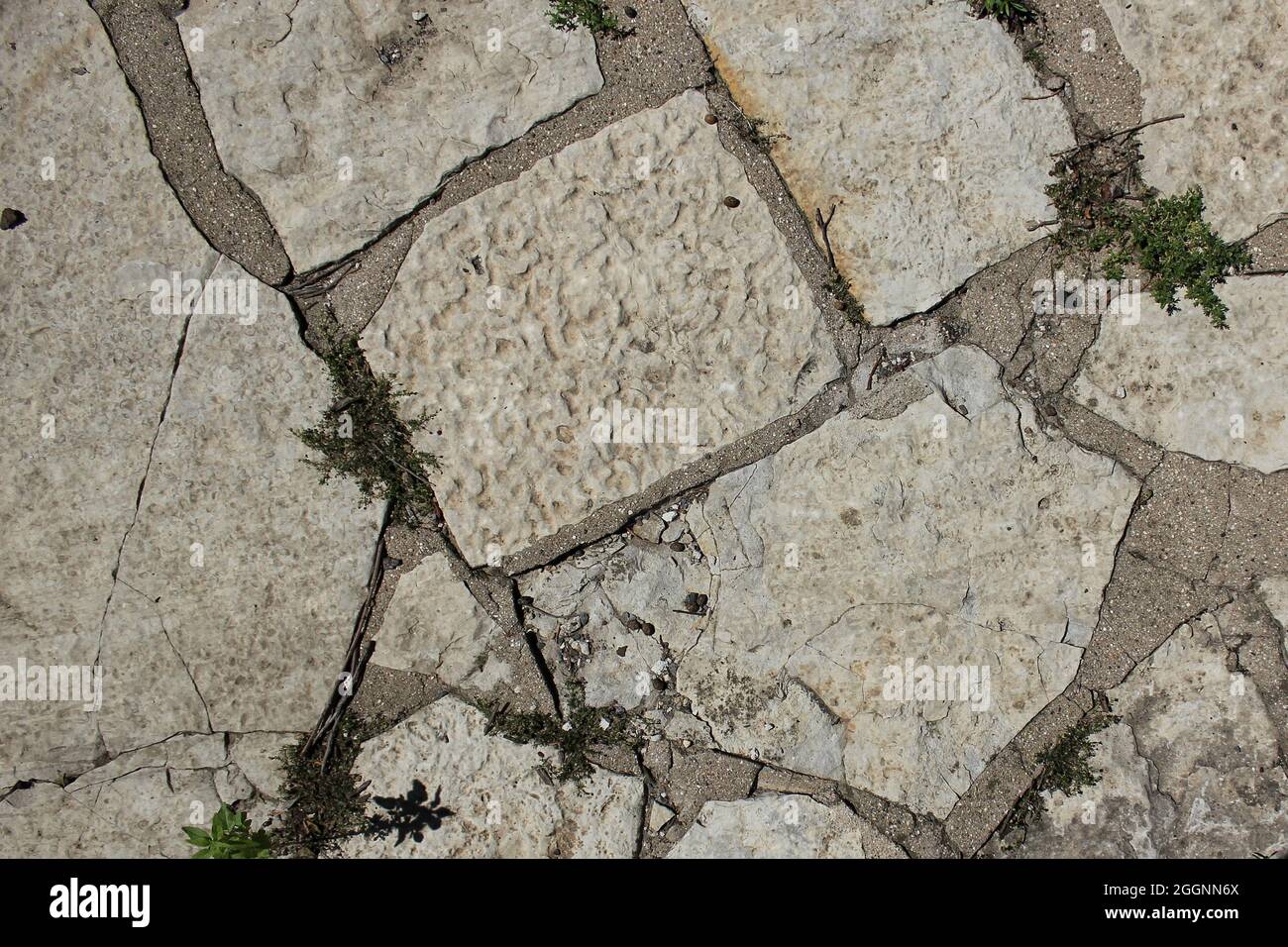 Random Patton natural limestone walkway in the bright summer sun Stock ...