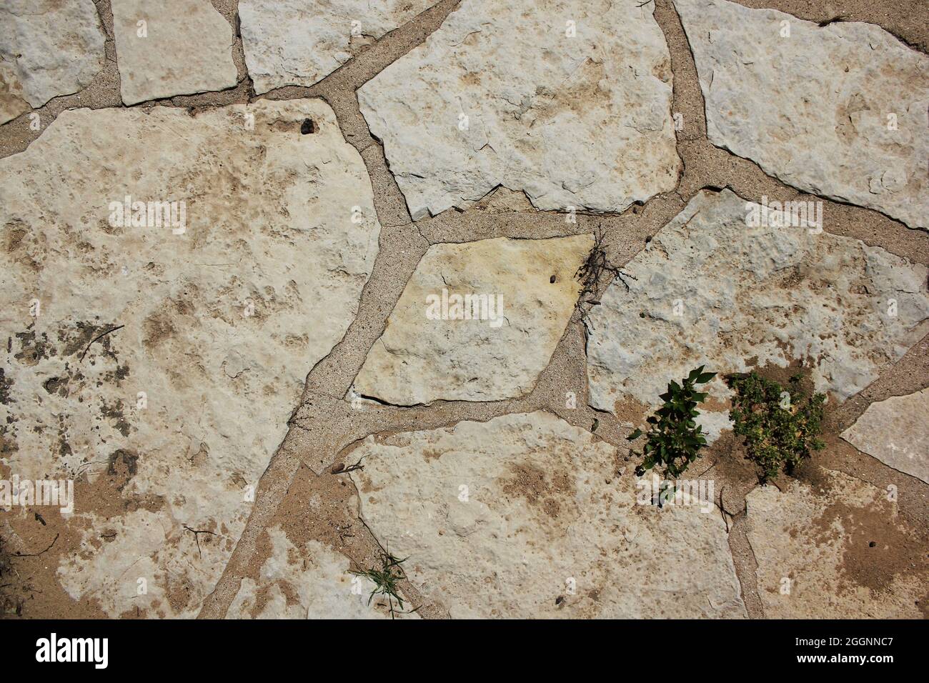 Random Patton natural limestone walkway in the bright summer sun Stock ...