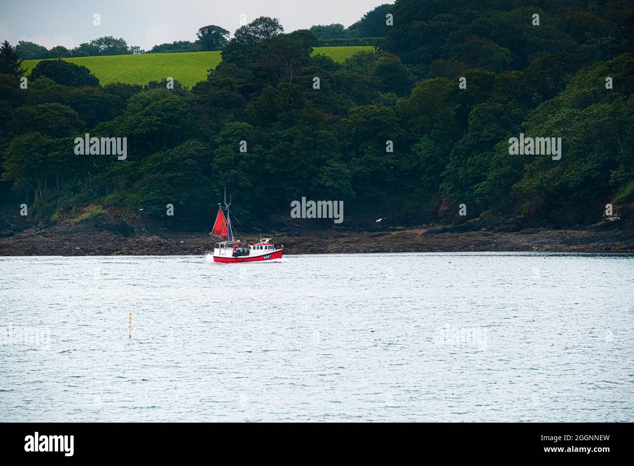 The fishing boat Tracey Clare SS67 a netter sailing back to port on the ...