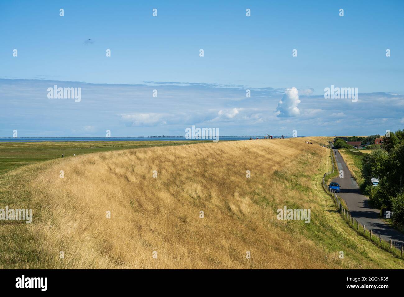 Wiesen sommer hi-res stock photography and images - Alamy
