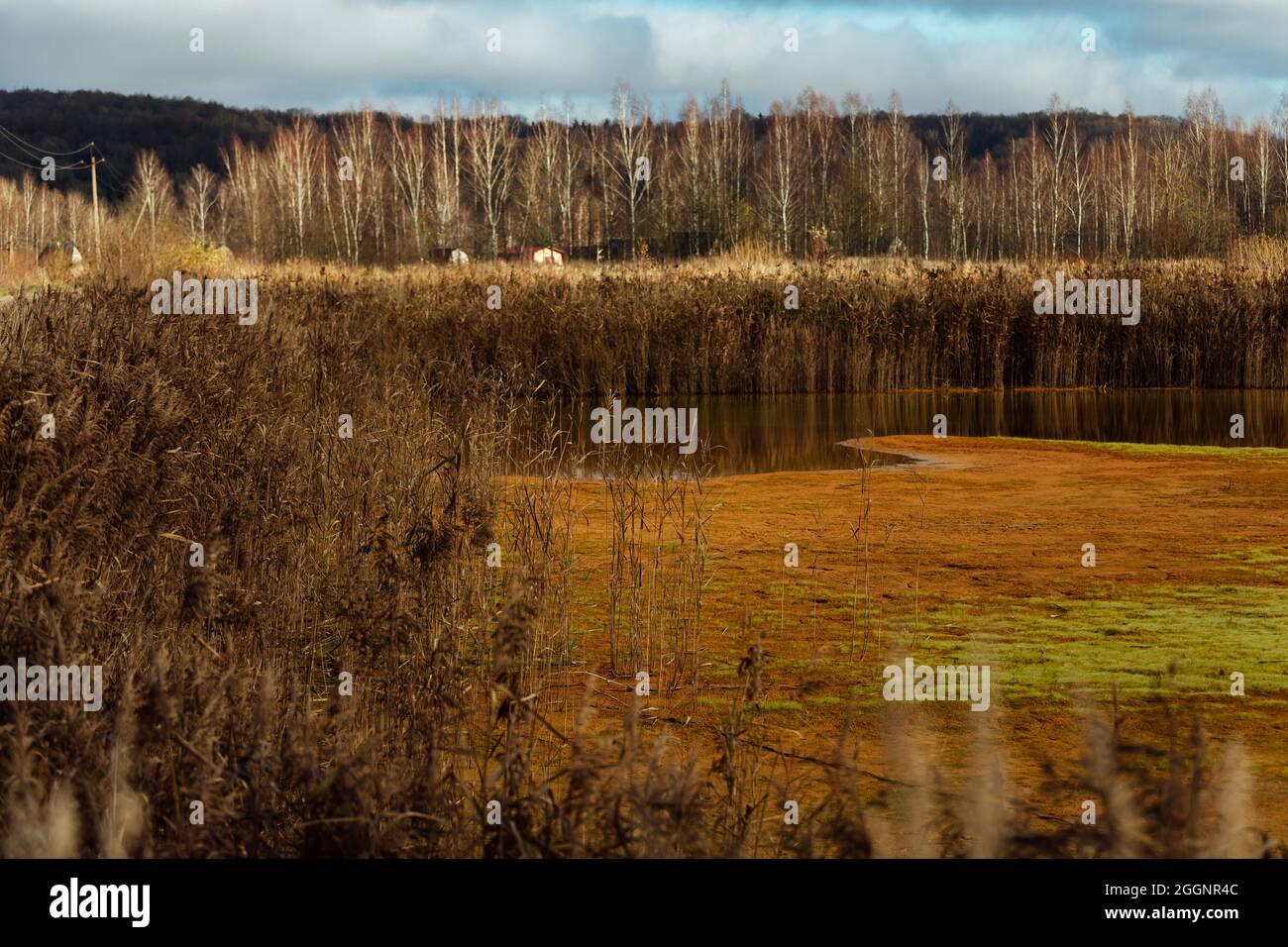 the pipes of the thermal power plant smoke on the horizon. country ...