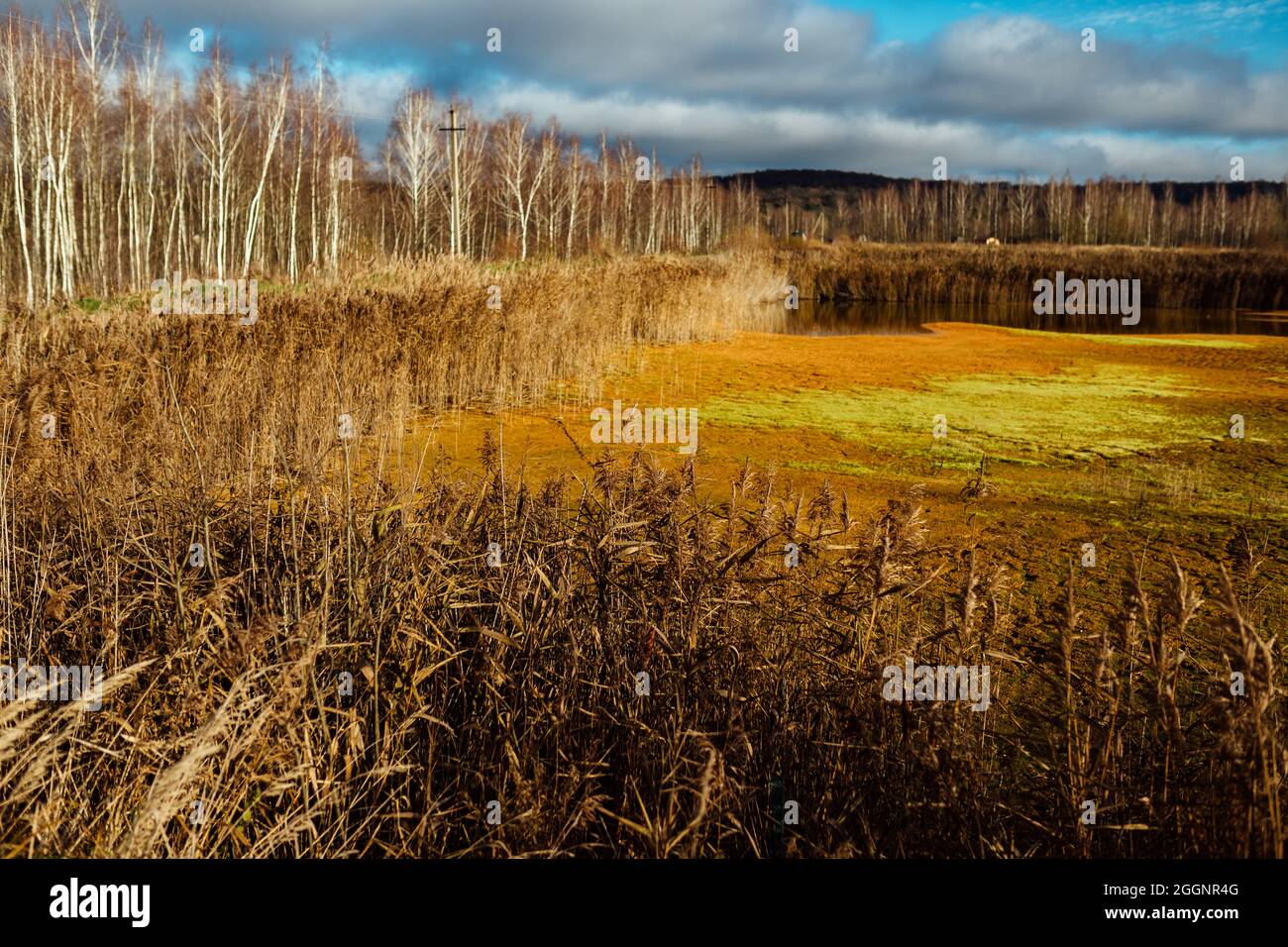 the pipes of the thermal power plant smoke on the horizon. country ...