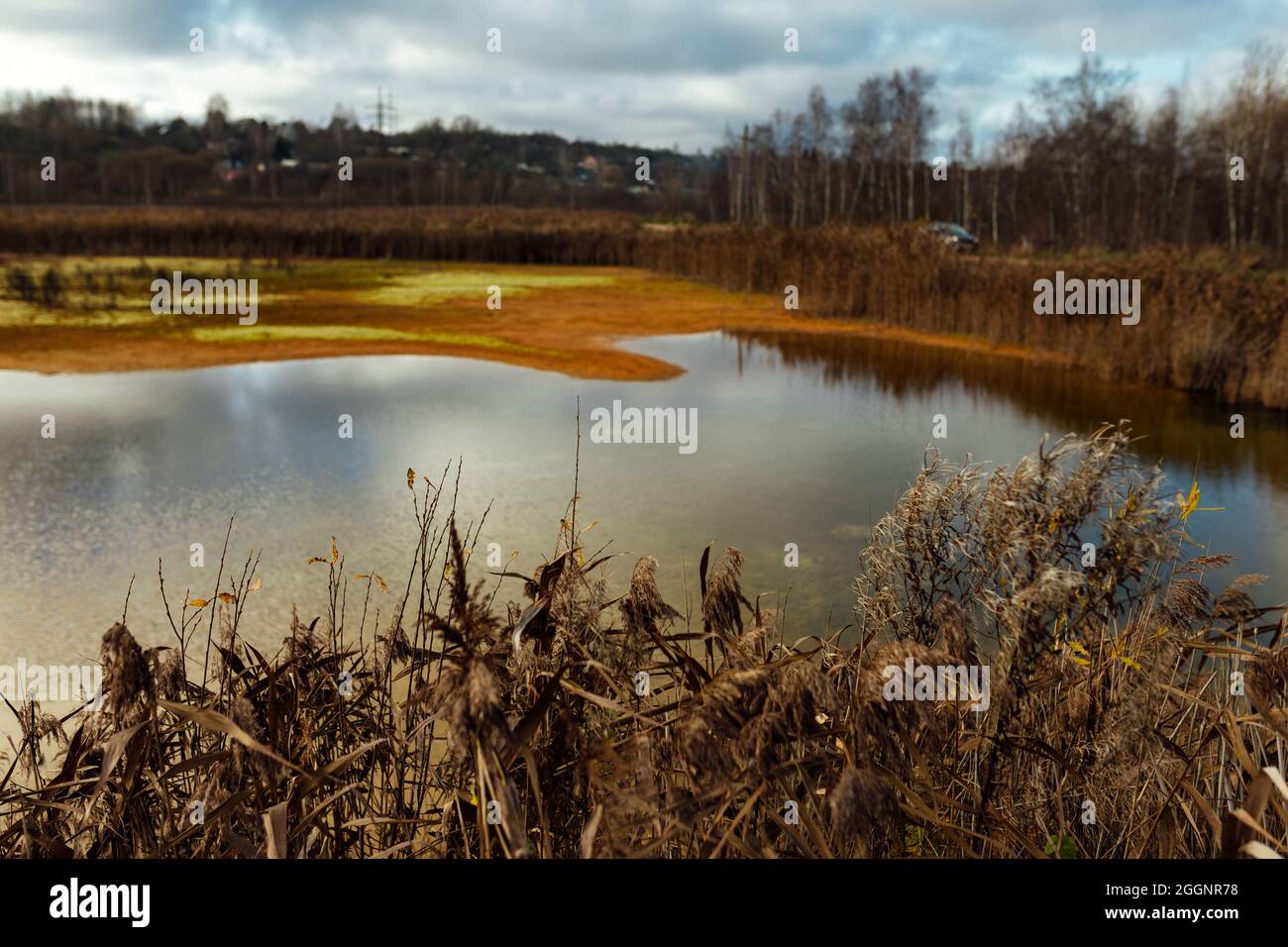 the pipe discharges waste into the water. contamination of the ...