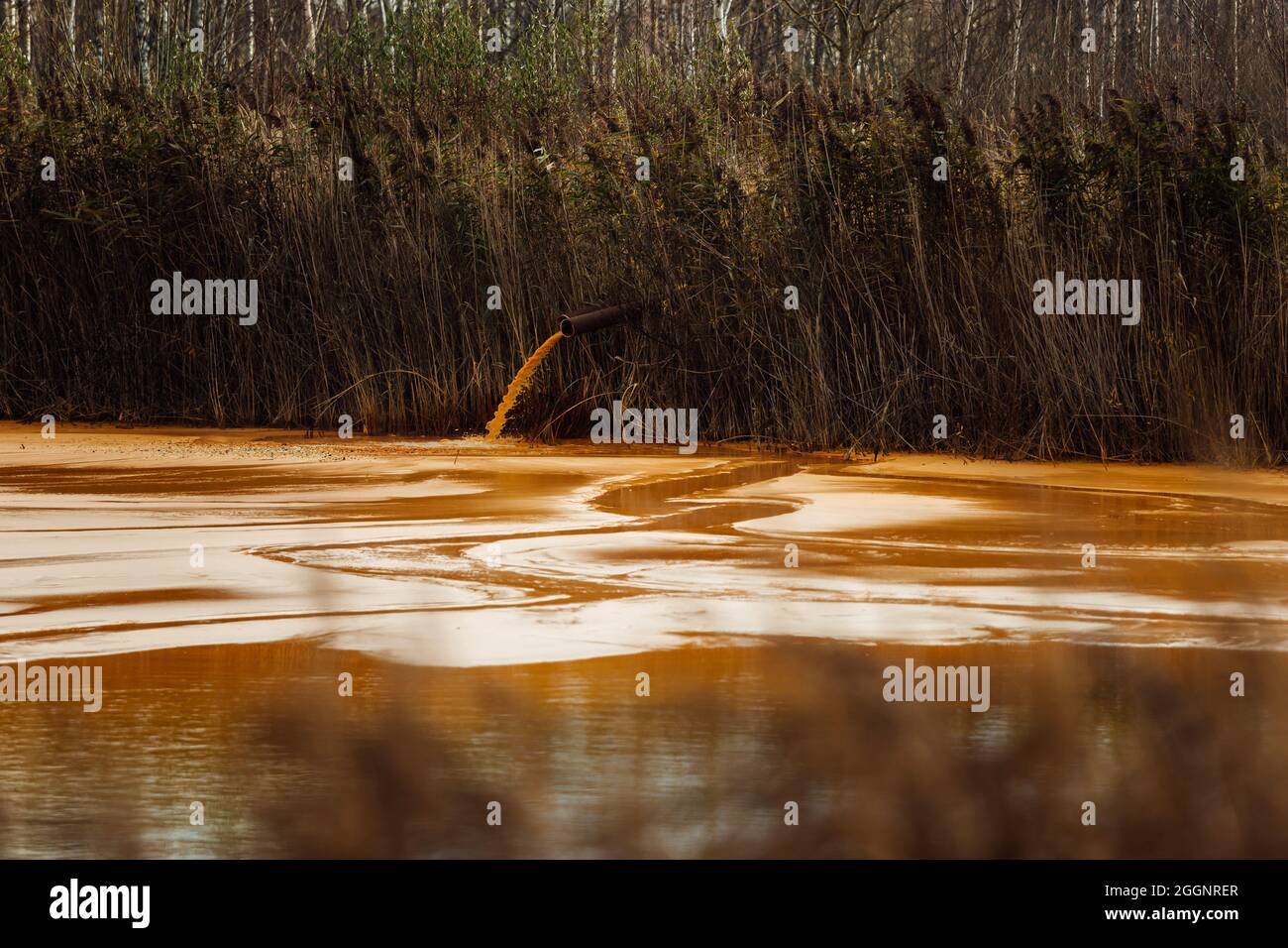 the pipe discharges waste into the water. contamination of the ...