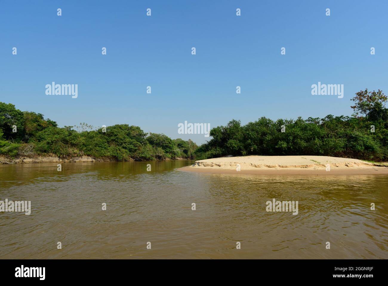 Cuiabá river landscape, Pantanal Forest , Mato grosso, Brazil Stock ...