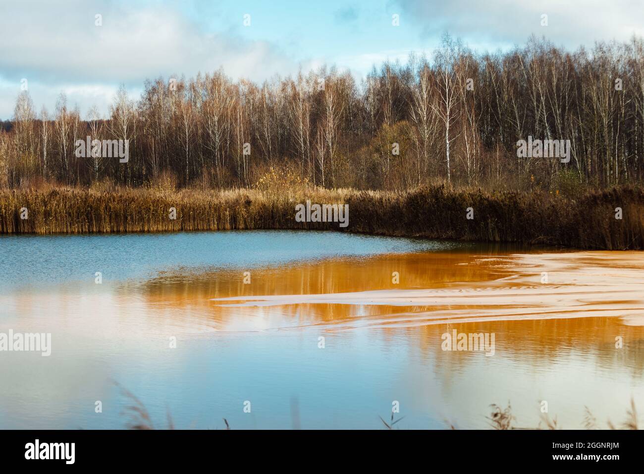 the pipe discharges waste into the water. contamination of the ...