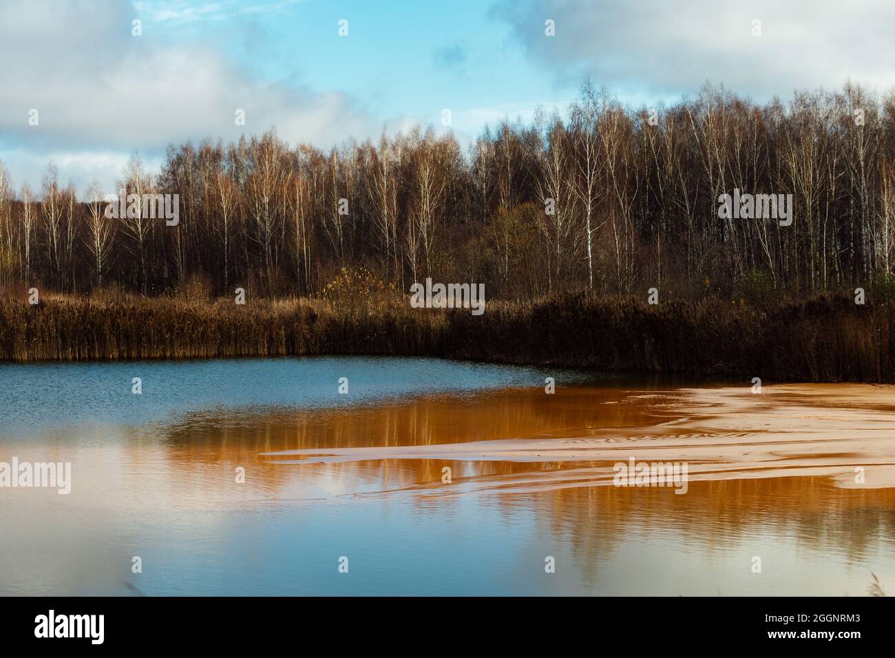 the pipe discharges waste into the water. contamination of the ...