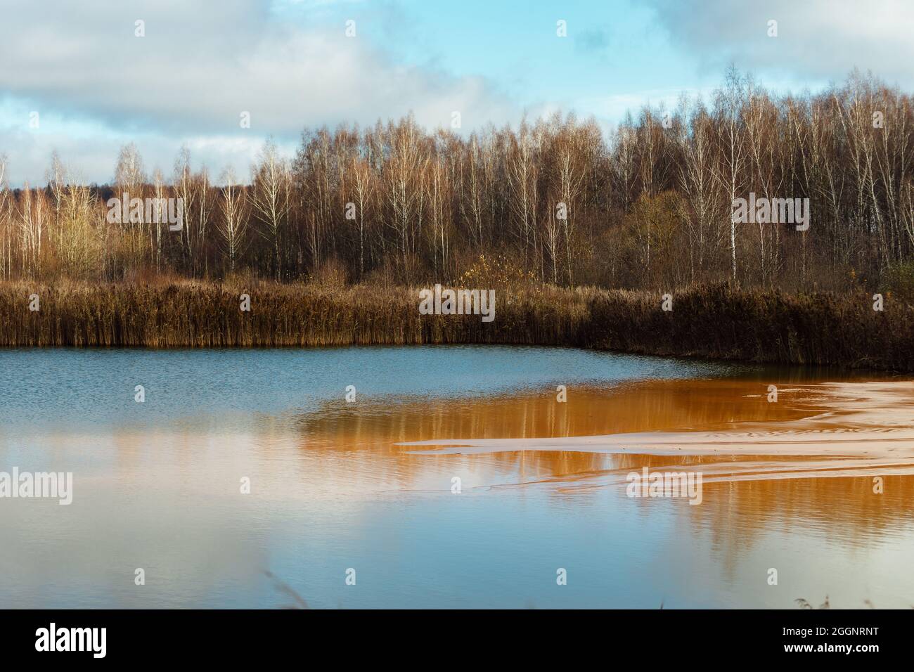 the pipe discharges waste into the water. contamination of the ...