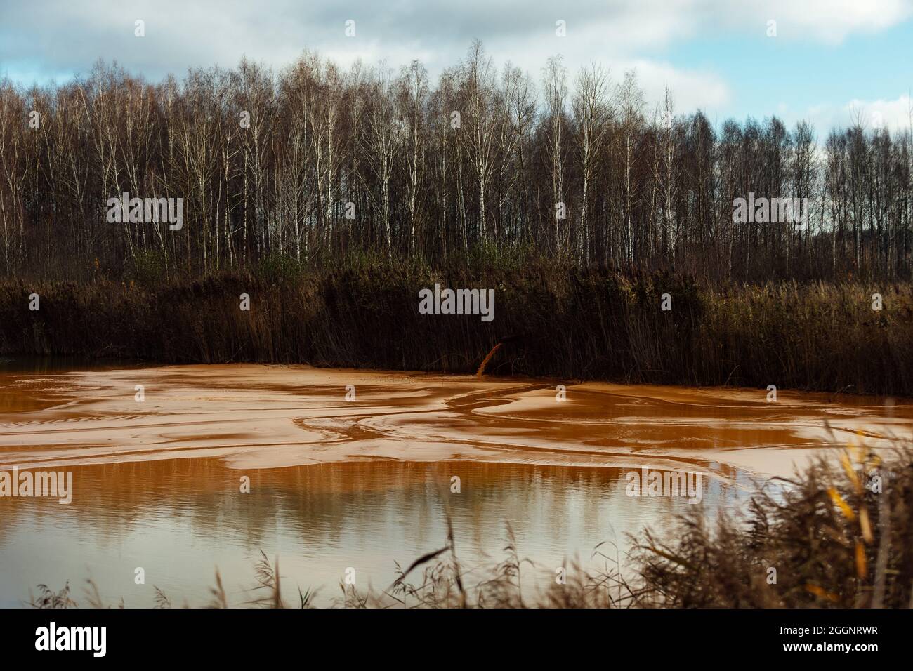 the pipe discharges waste into the water. contamination of the ...
