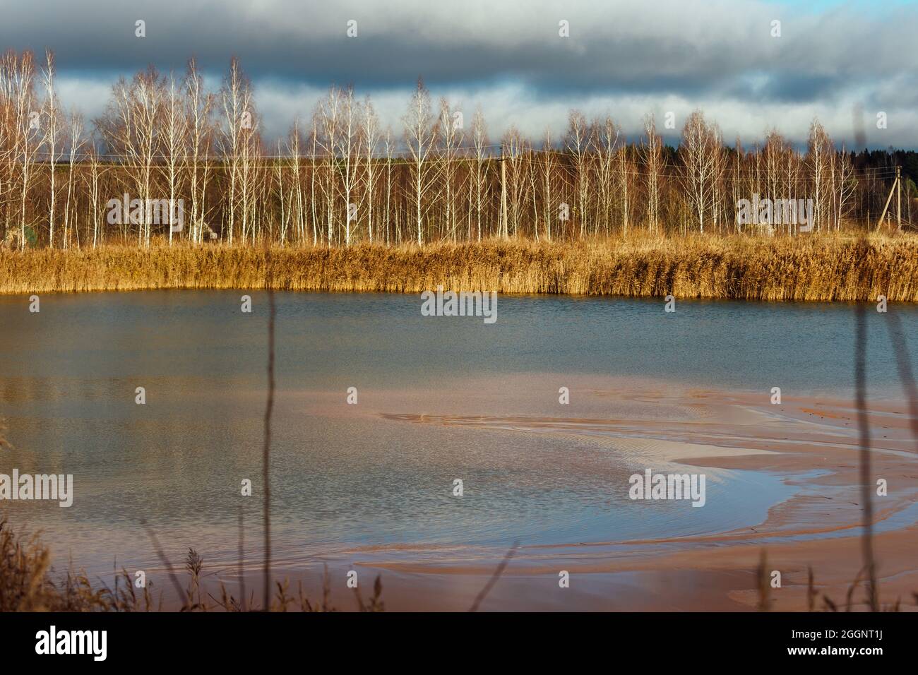 the pipe discharges waste into the water. contamination of the ...