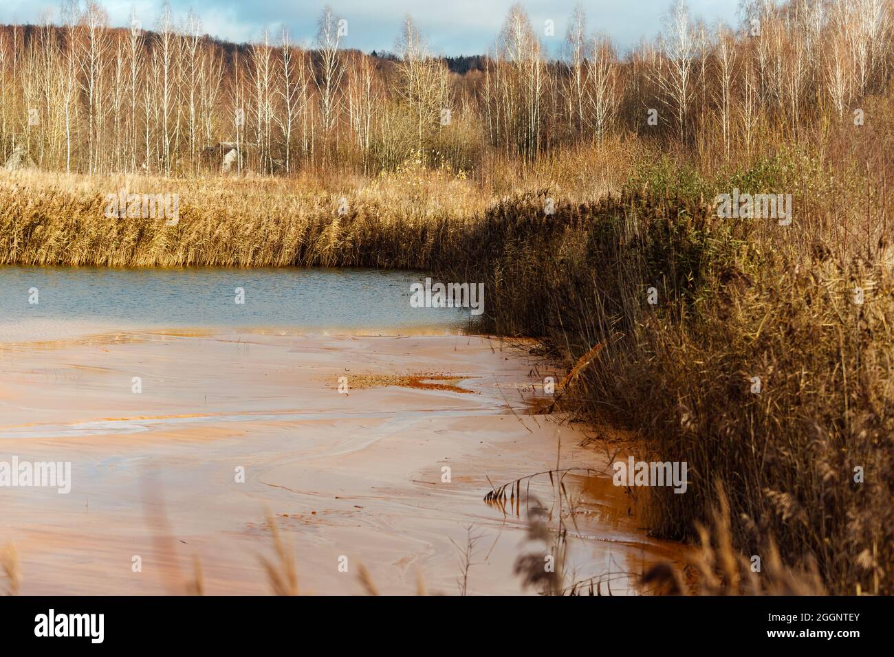 the pipe discharges waste into the water. contamination of the ...