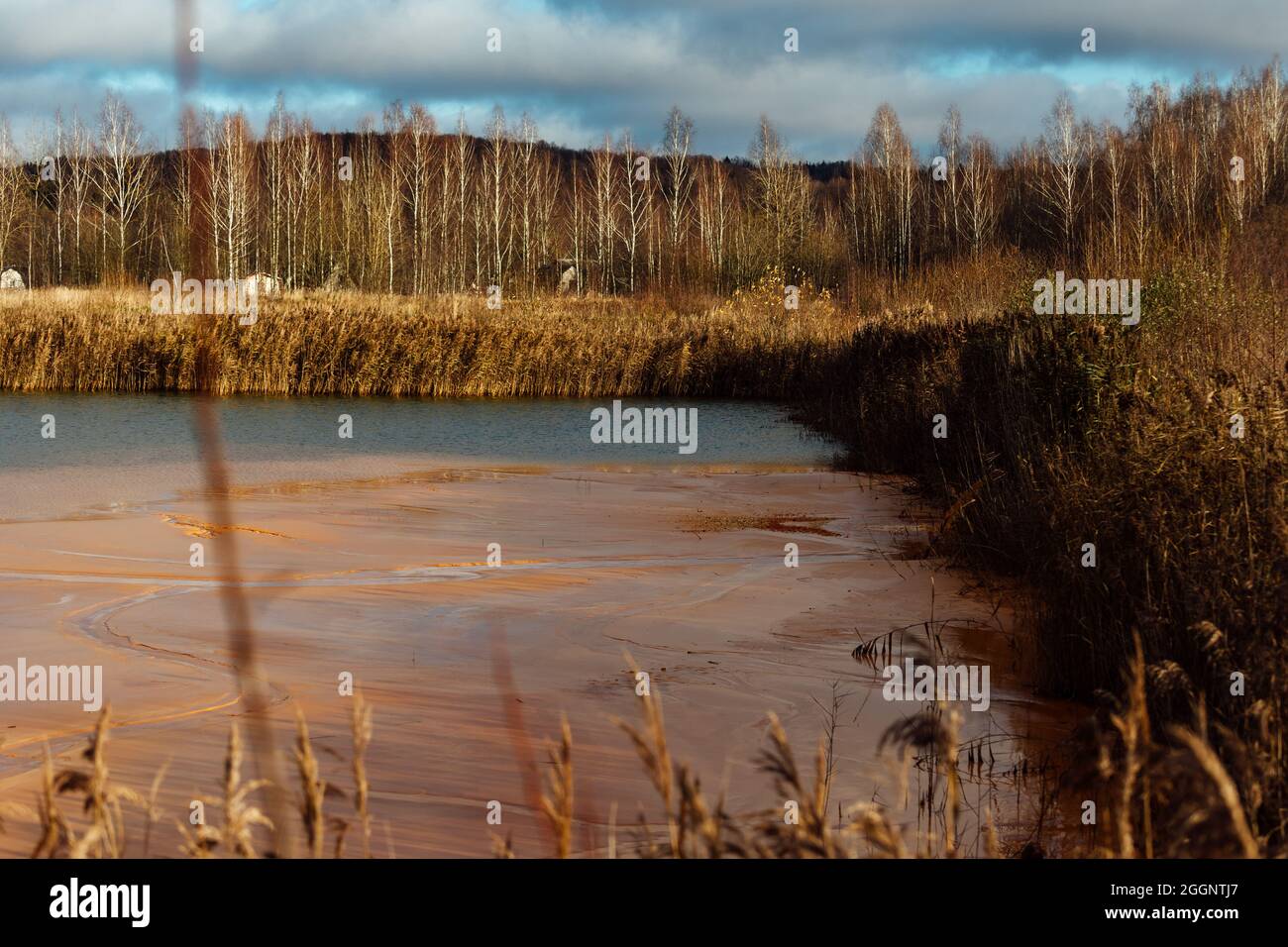 the pipe discharges waste into the water. contamination of the ...