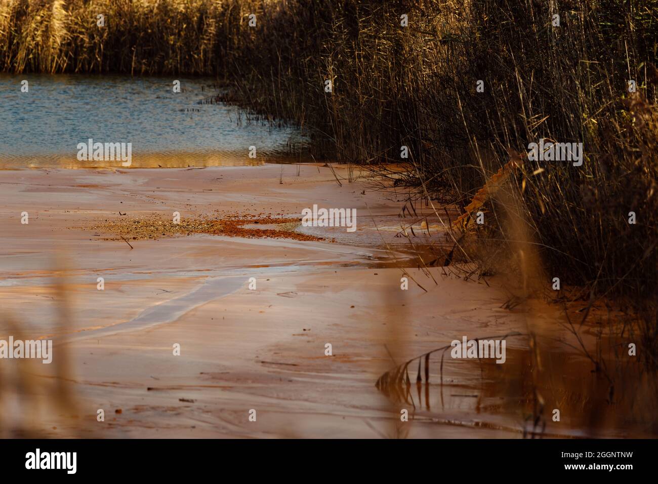 the pipe discharges waste into the water. contamination of the ...