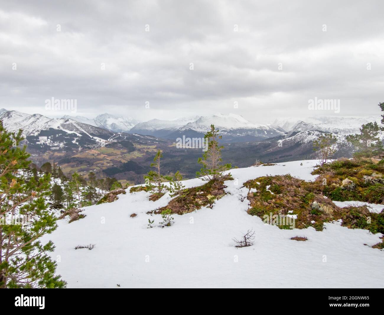 Rotsethornet hi-res stock photography and images - Alamy