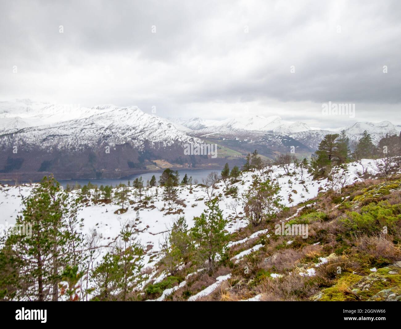 Rotsethornet hi-res stock photography and images - Alamy