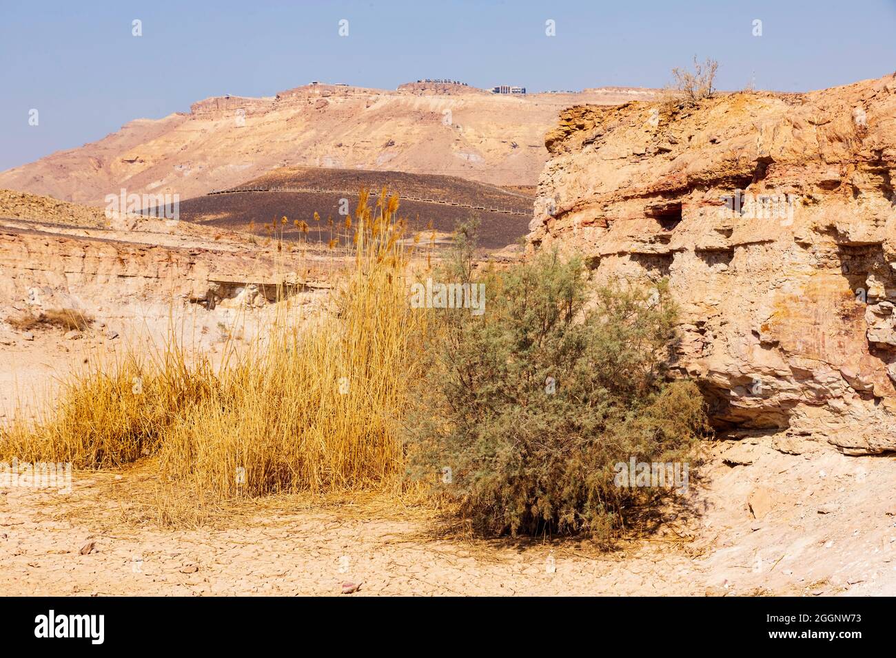 Geological formations in Ramon Crater. The Negev Desert. Israel Stock ...