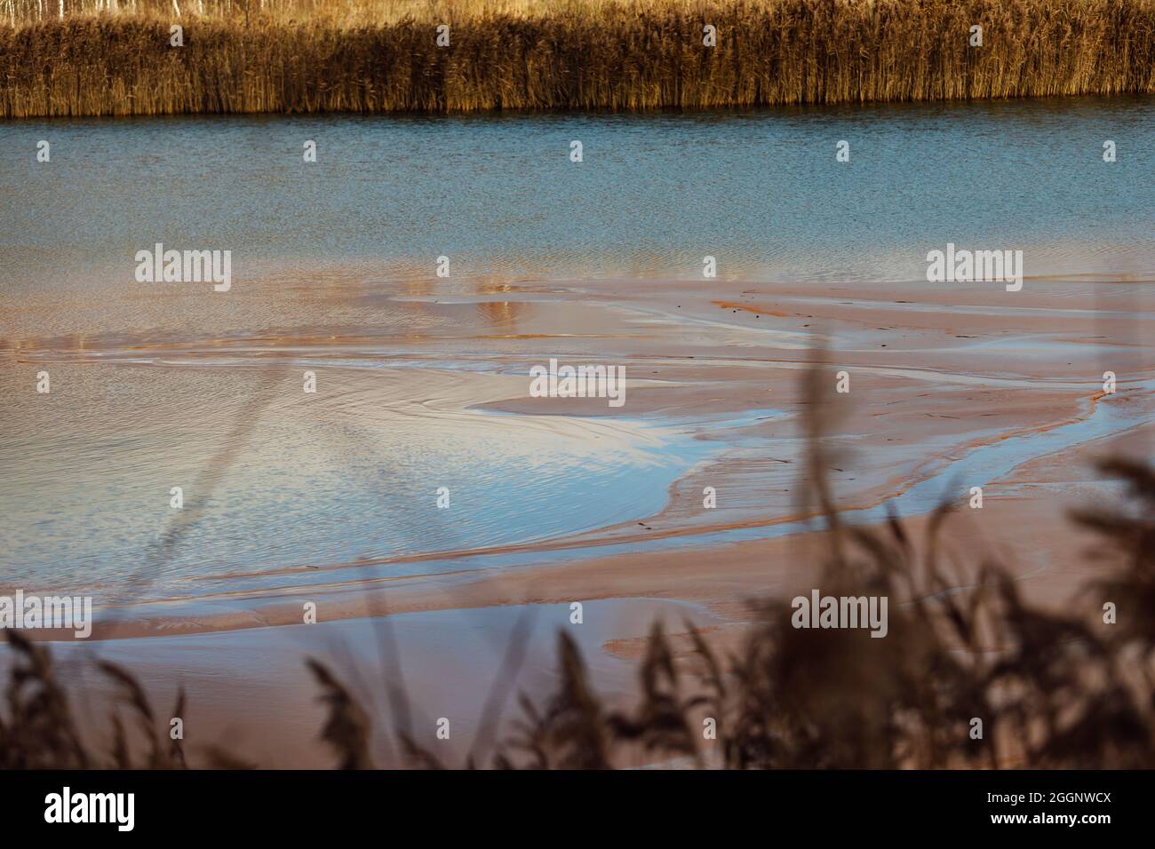 the pipe discharges waste into the water. contamination of the ...