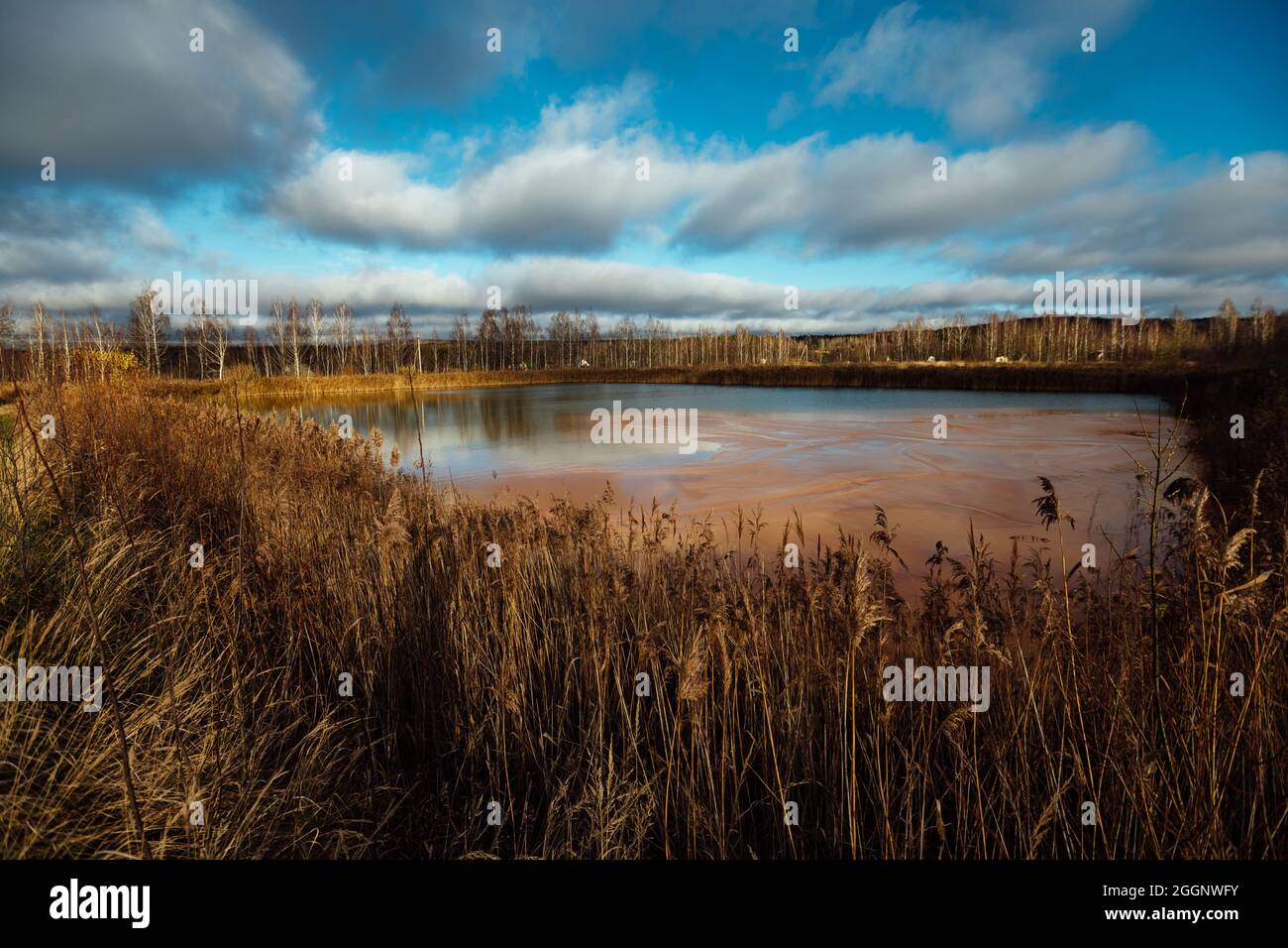the pipe discharges waste into the water. contamination of the ...