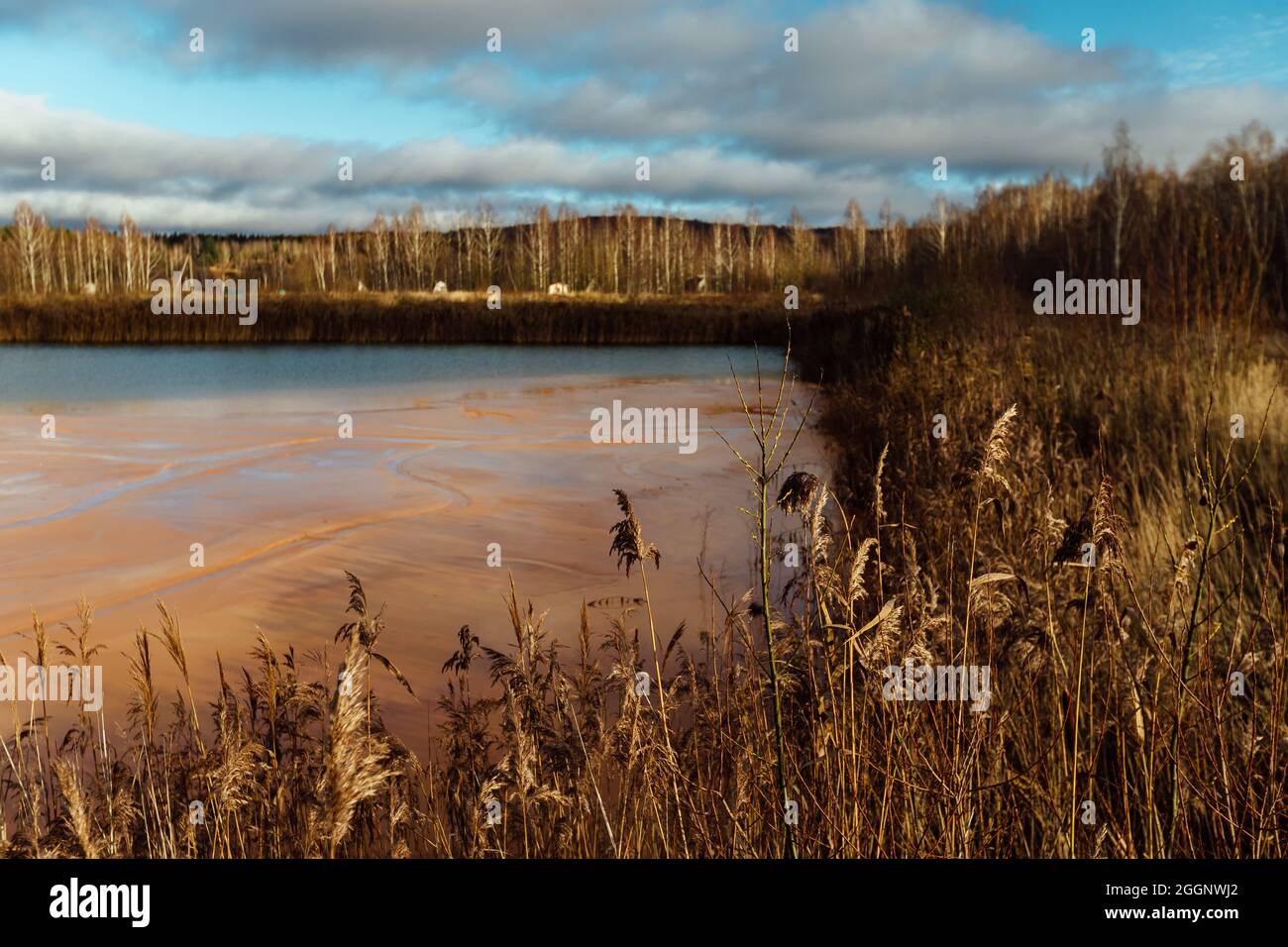 the pipe discharges waste into the water. contamination of the ...