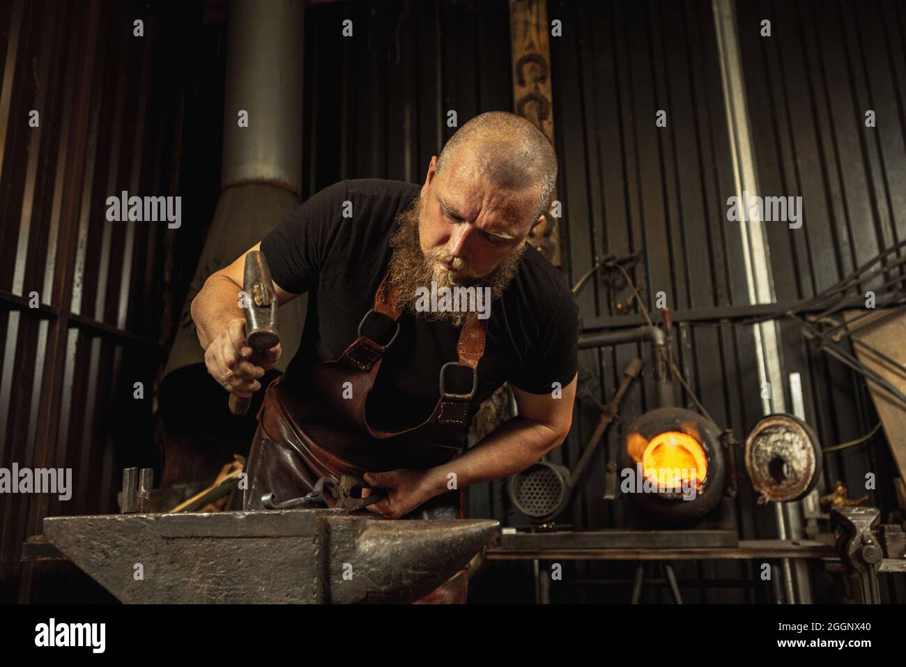 Bearded man, blacksmith manually forging the molten metal on the anvil ...