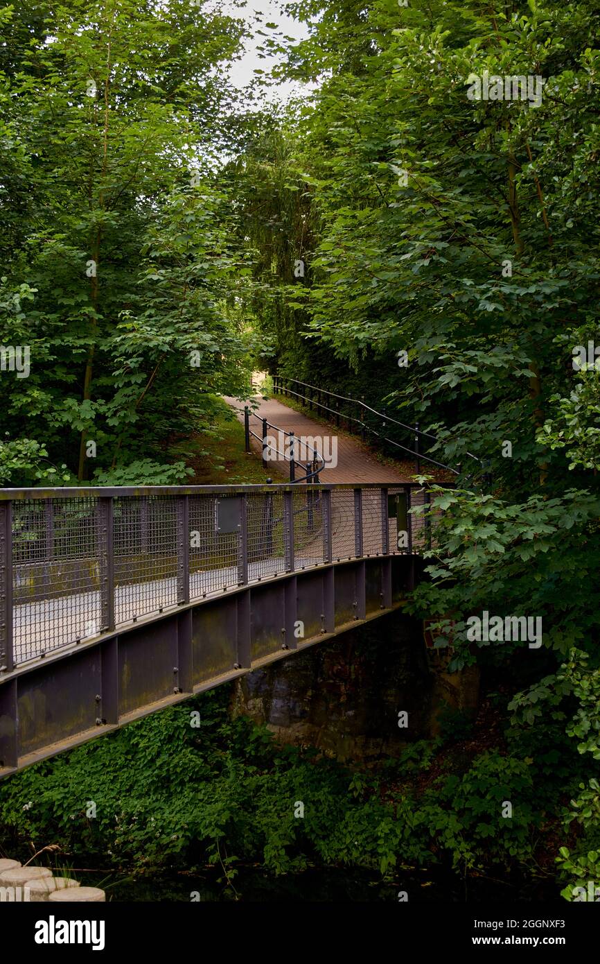 Stone bridge linking the footpath in a green dense forest Stock Photo ...