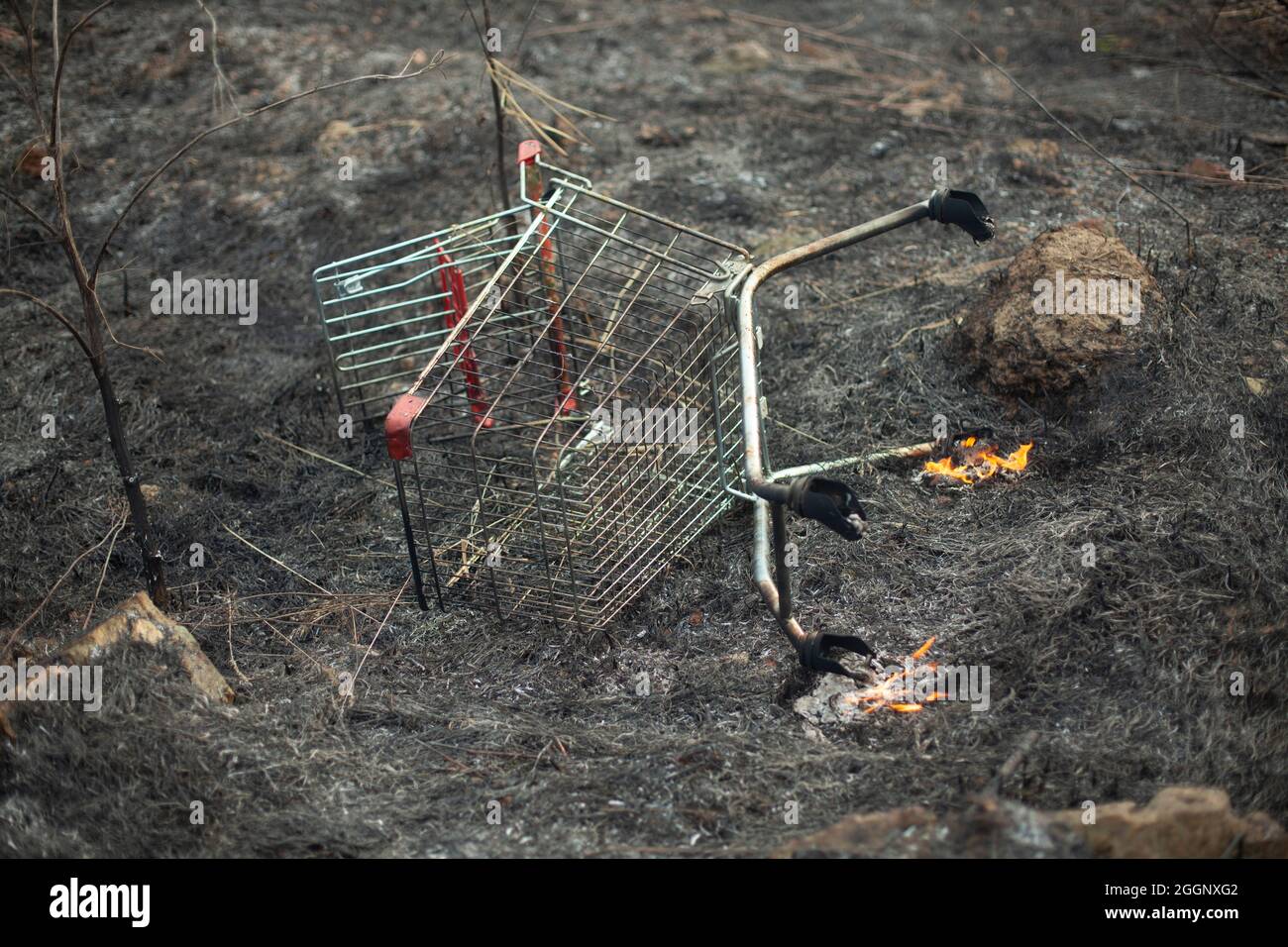The supermarket cart is on fire. A grocery basket caught fire in the ...