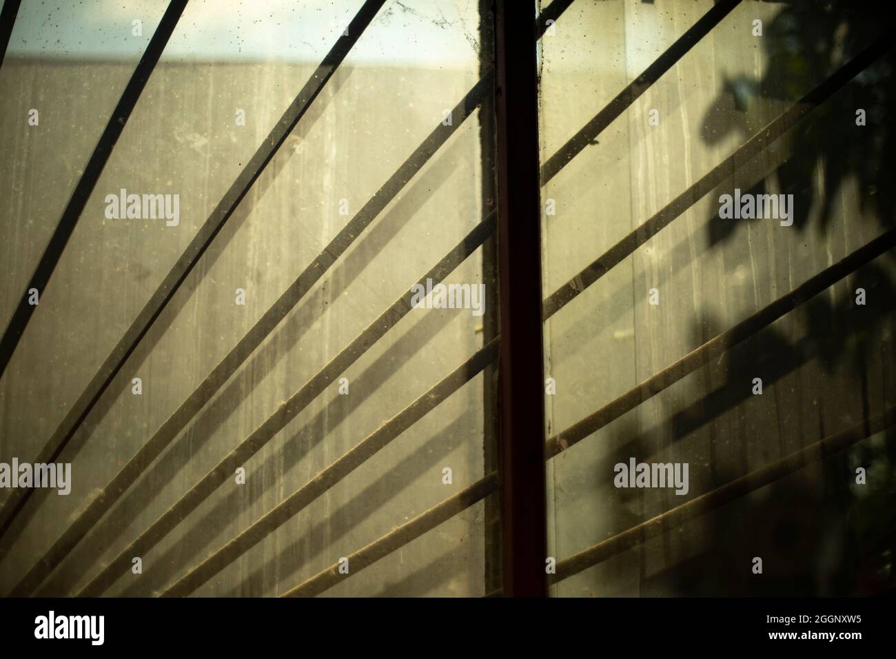 Muddy window with lattice. An old dirty window in the production room ...