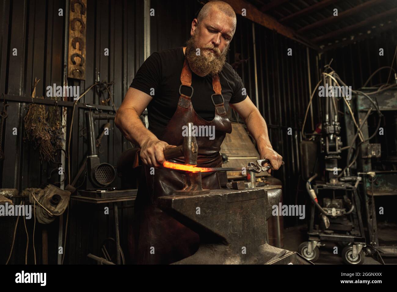 Bearded man, blacksmith manually forging the molten metal on the anvil ...
