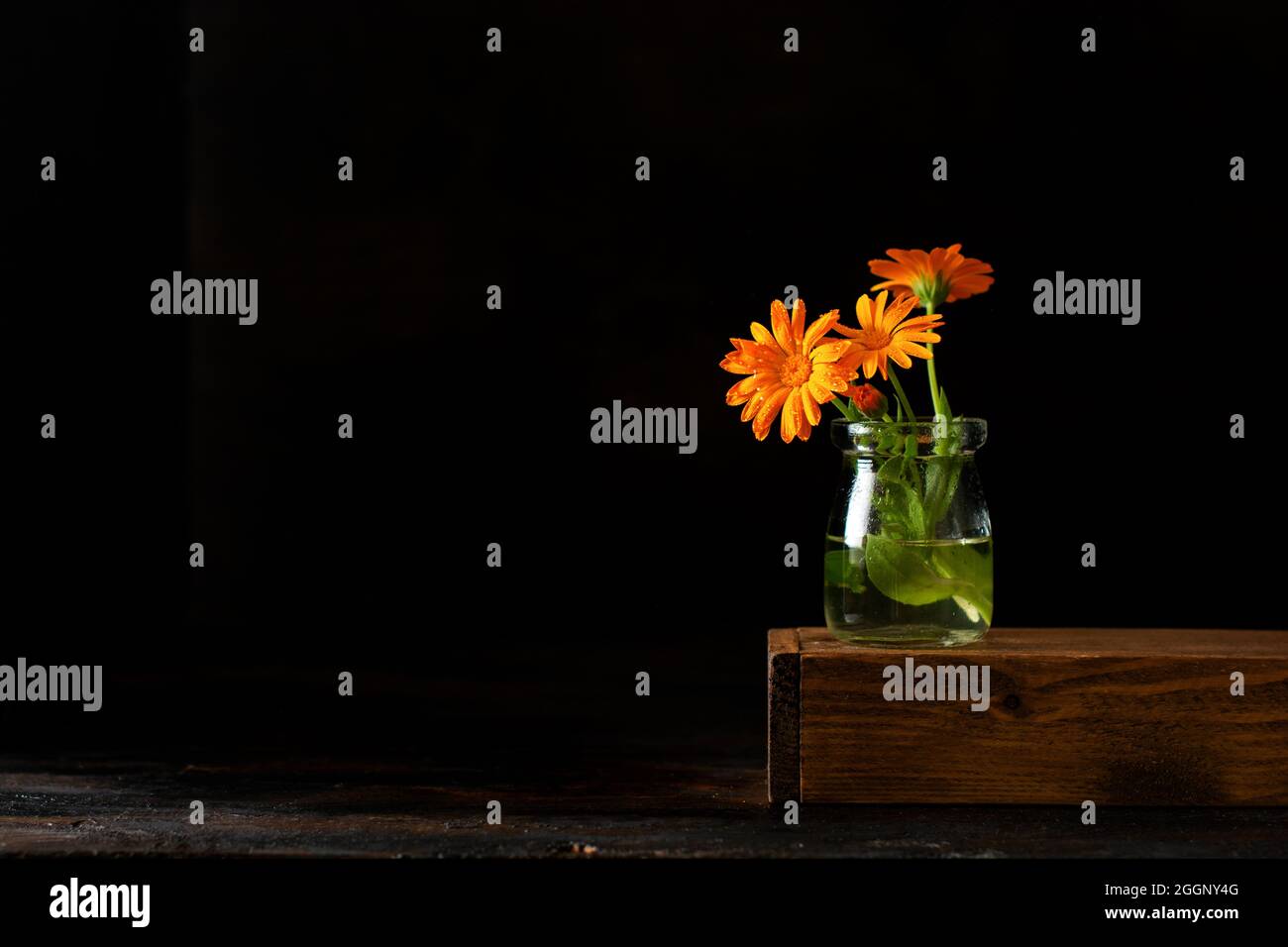 Calendula bouquet in a small vase on a black background Stock Photo - Alamy