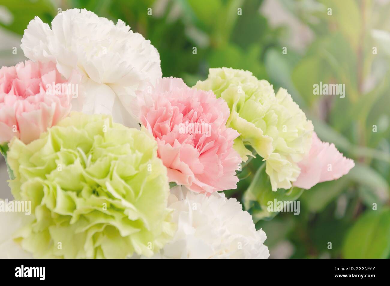 Green Carnation Bouquet