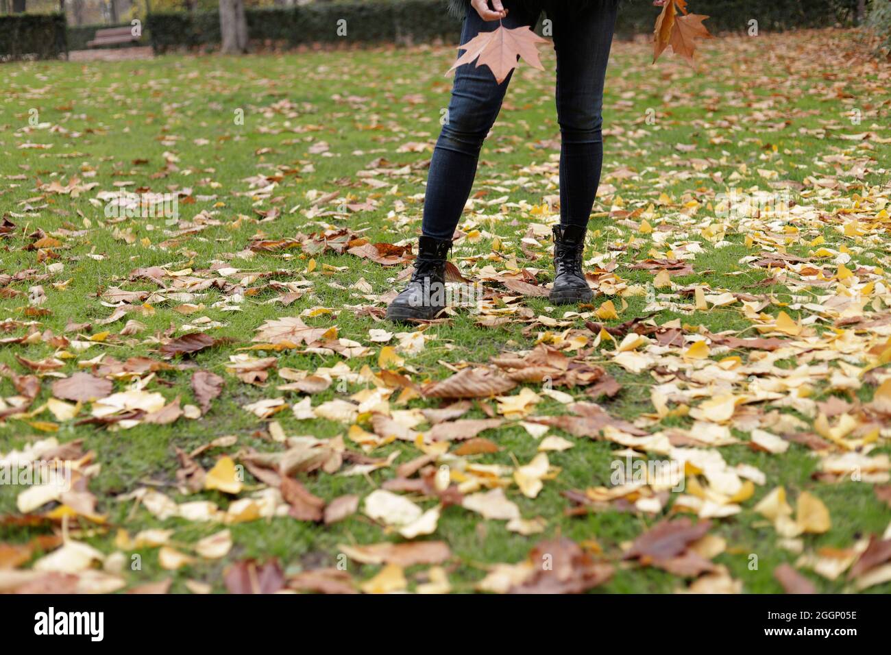 Legs in leaves hi-res stock photography and images - Alamy