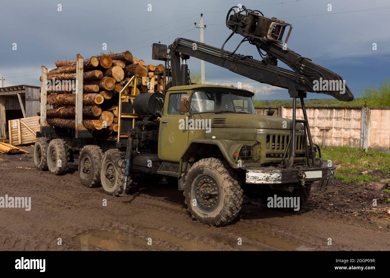 Transportation of wood on a truck. Industrial truck for transporting ...