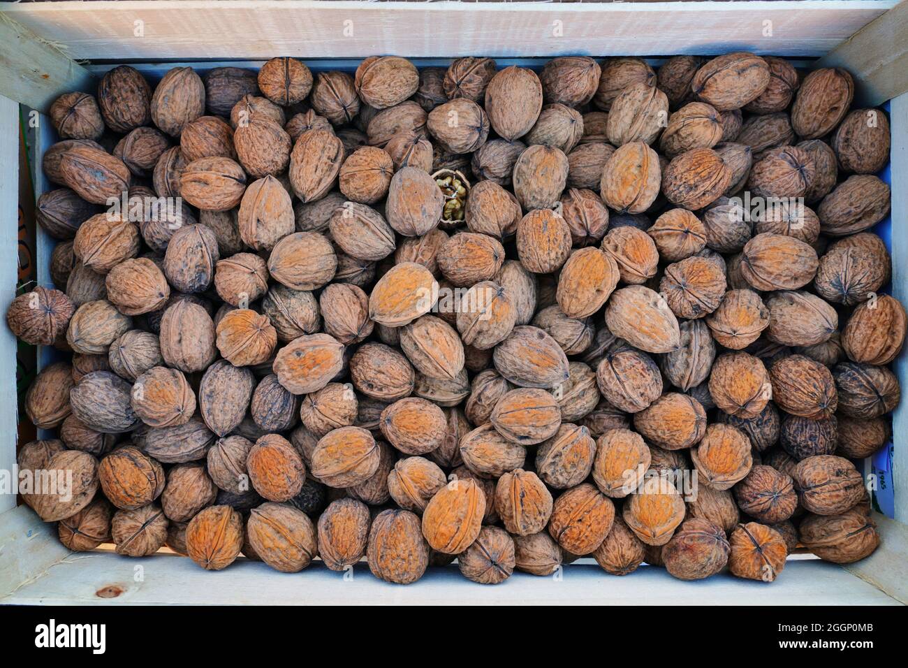 Walnuts in the shell hi-res stock photography and images - Alamy