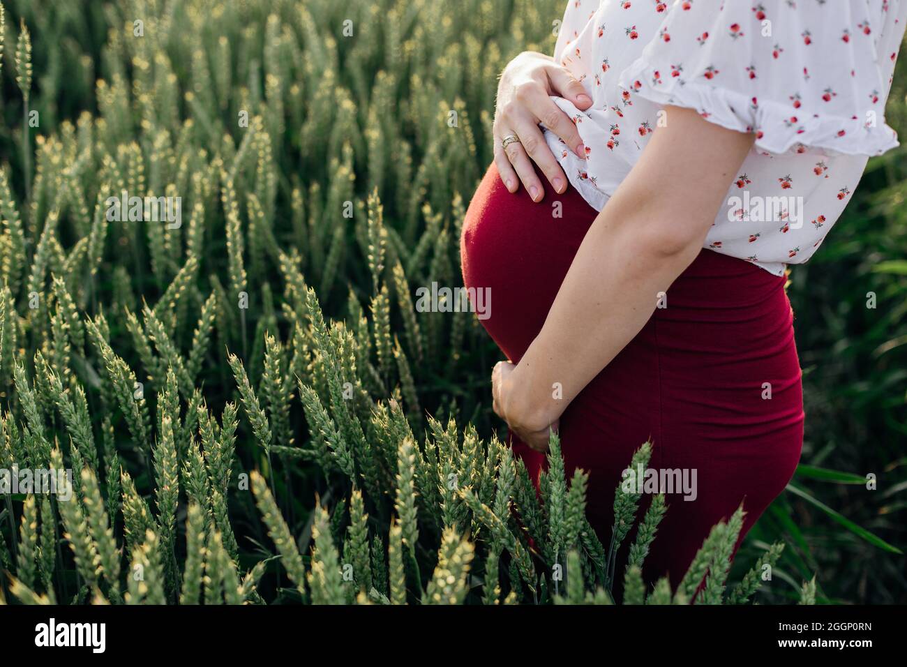 Beautiful moments of pregnancy. Concept of human and natural fertility ...