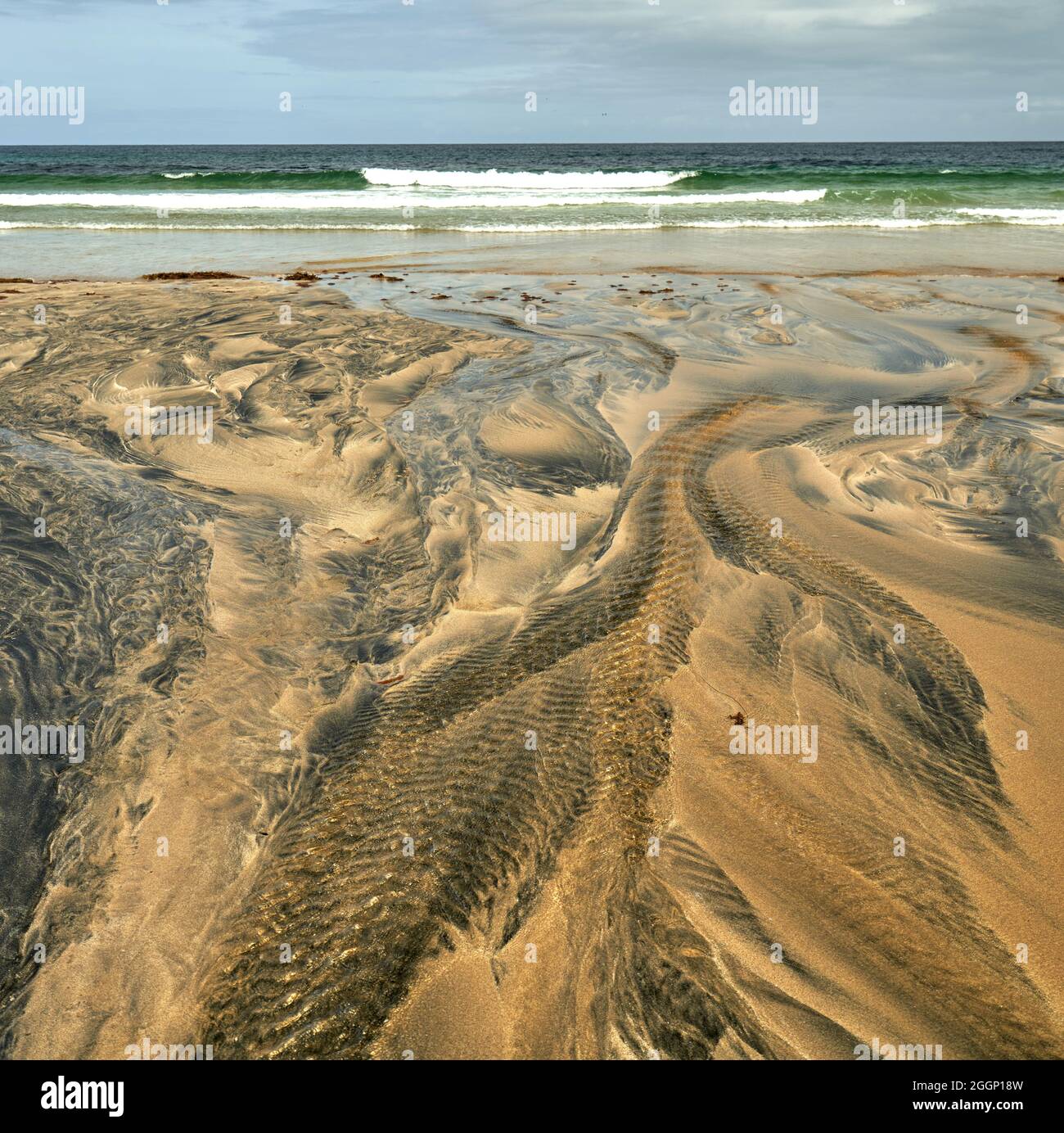 Fluvial details on a beach where peat is washed out into the sand and ...
