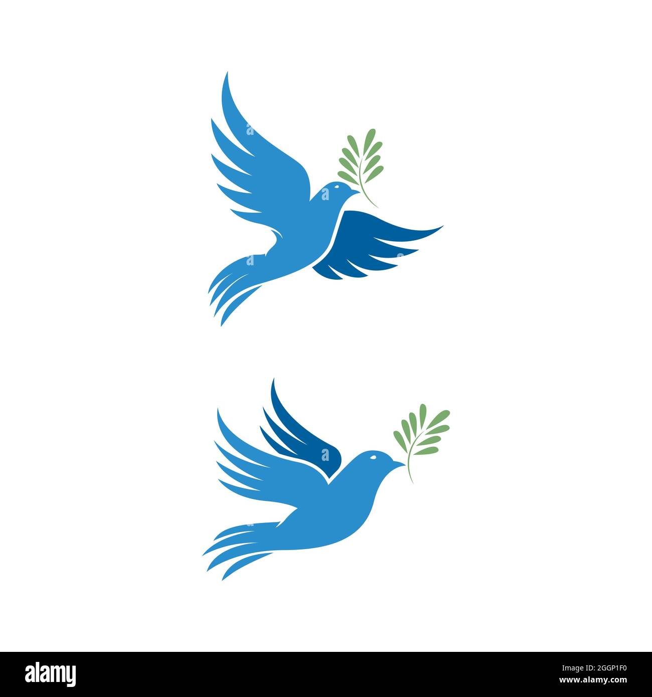 Bird wing Dove Logo Template vector illustration Stock Photo - Alamy