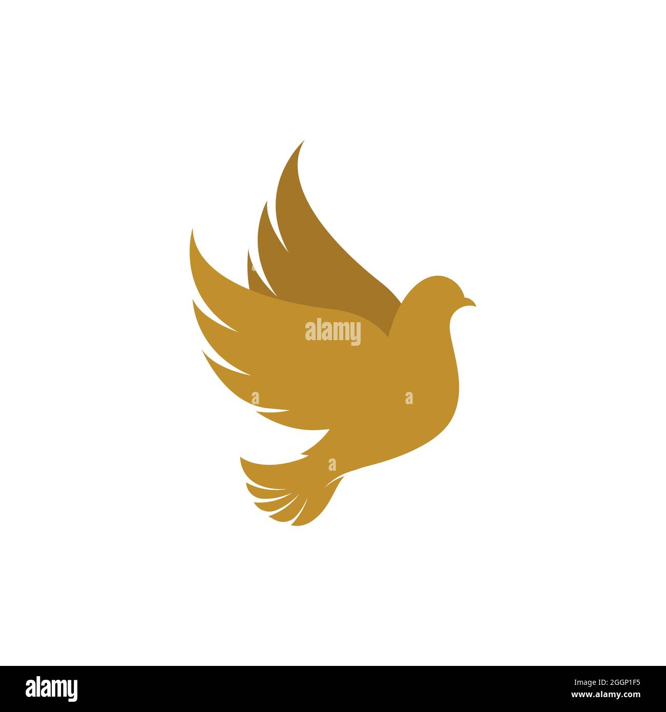 Bird wing Dove Logo Template vector illustration Stock Photo - Alamy