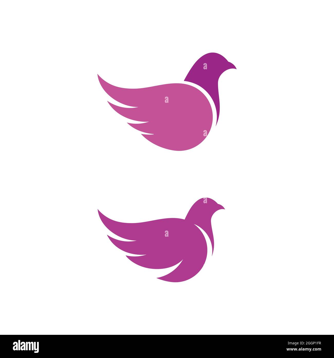 Bird wing Dove Logo Template vector illustration Stock Photo - Alamy