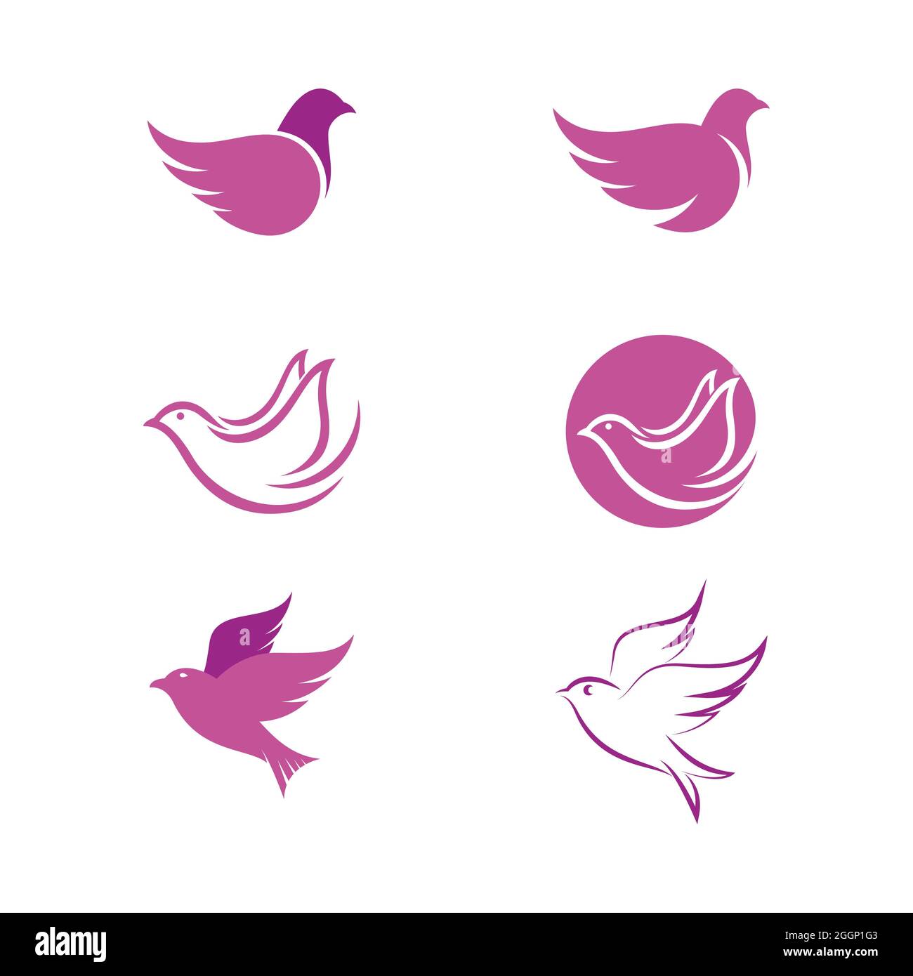 Bird wing Dove Logo Template vector illustration Stock Photo - Alamy