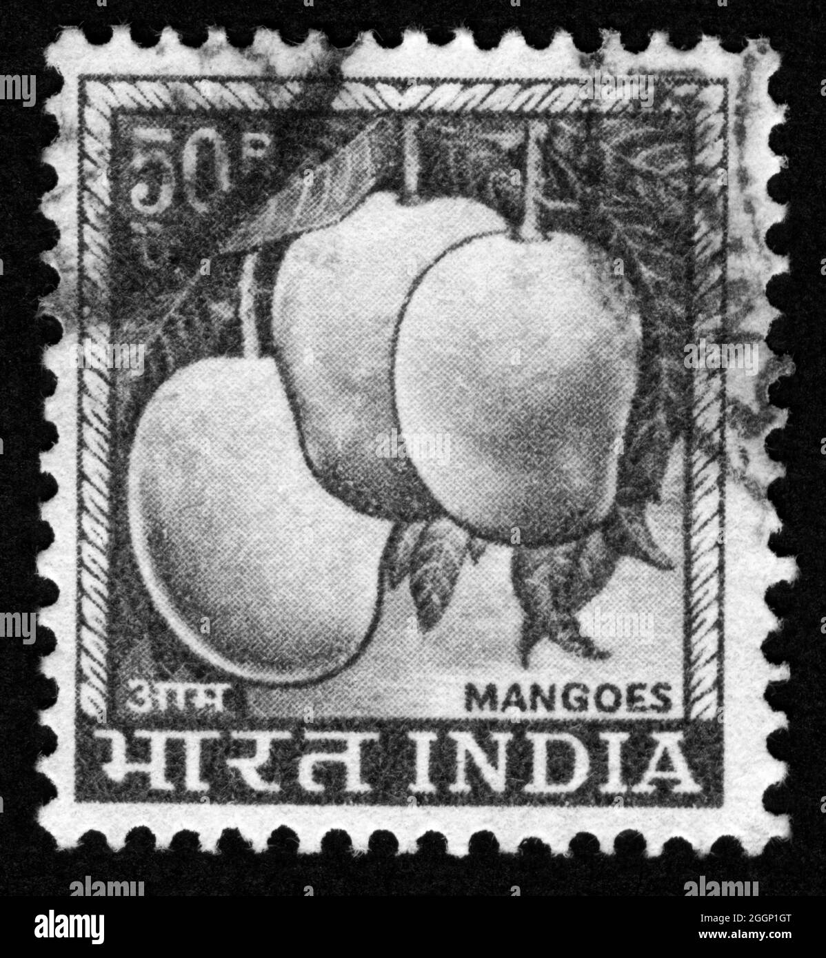 Mangoes india Black and White Stock Photos & Images - Alamy