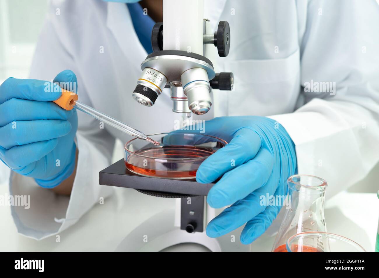 Asian scientist biochemist or microbiologist working research with a ...